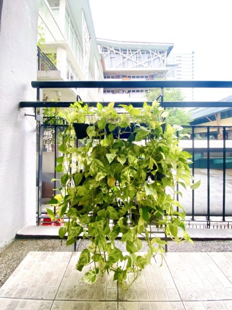 Gallery – Meridian International Learning Experience